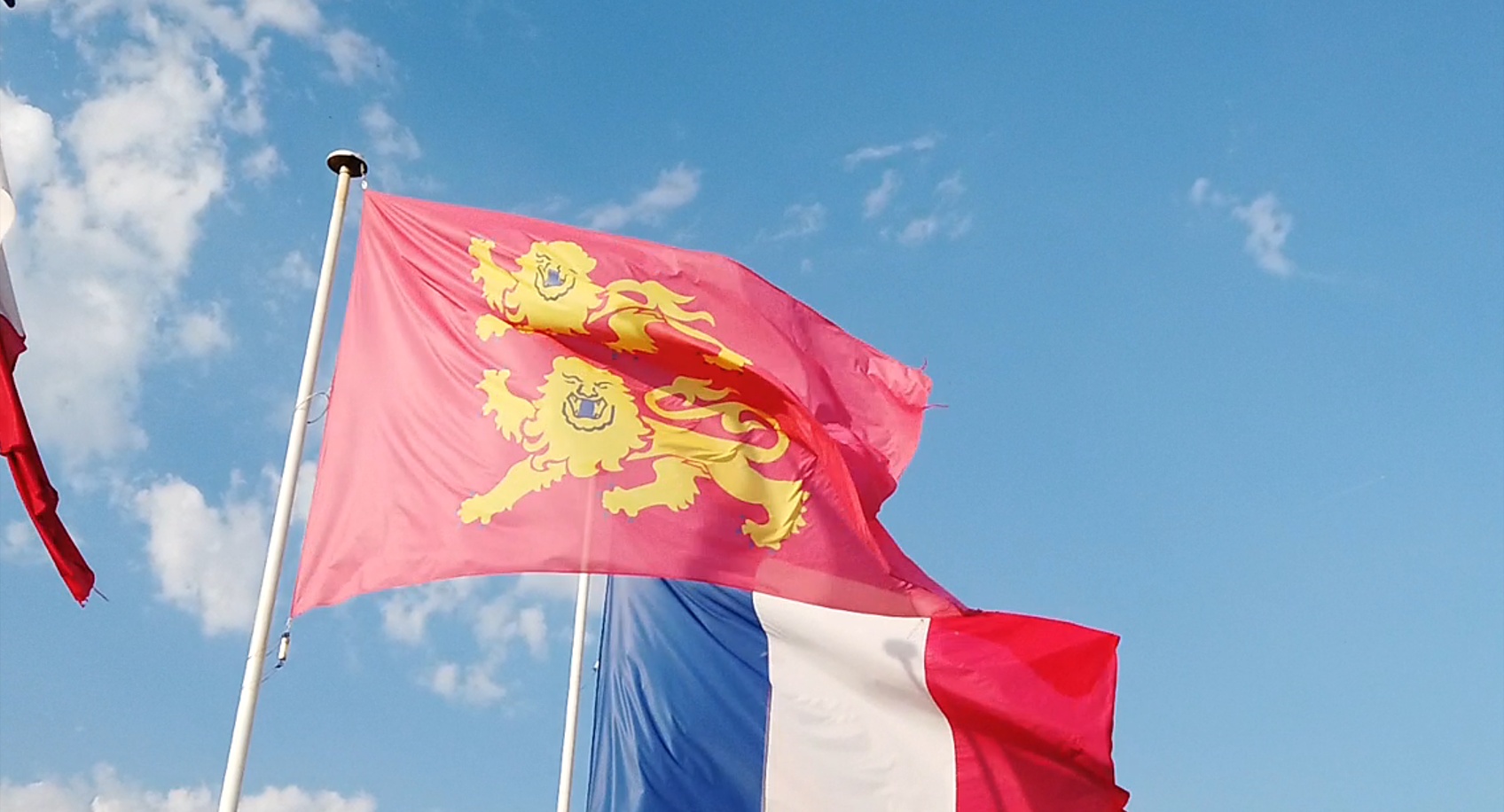 Commercialisation of COVID-19 test kits. - Loop Dee Science