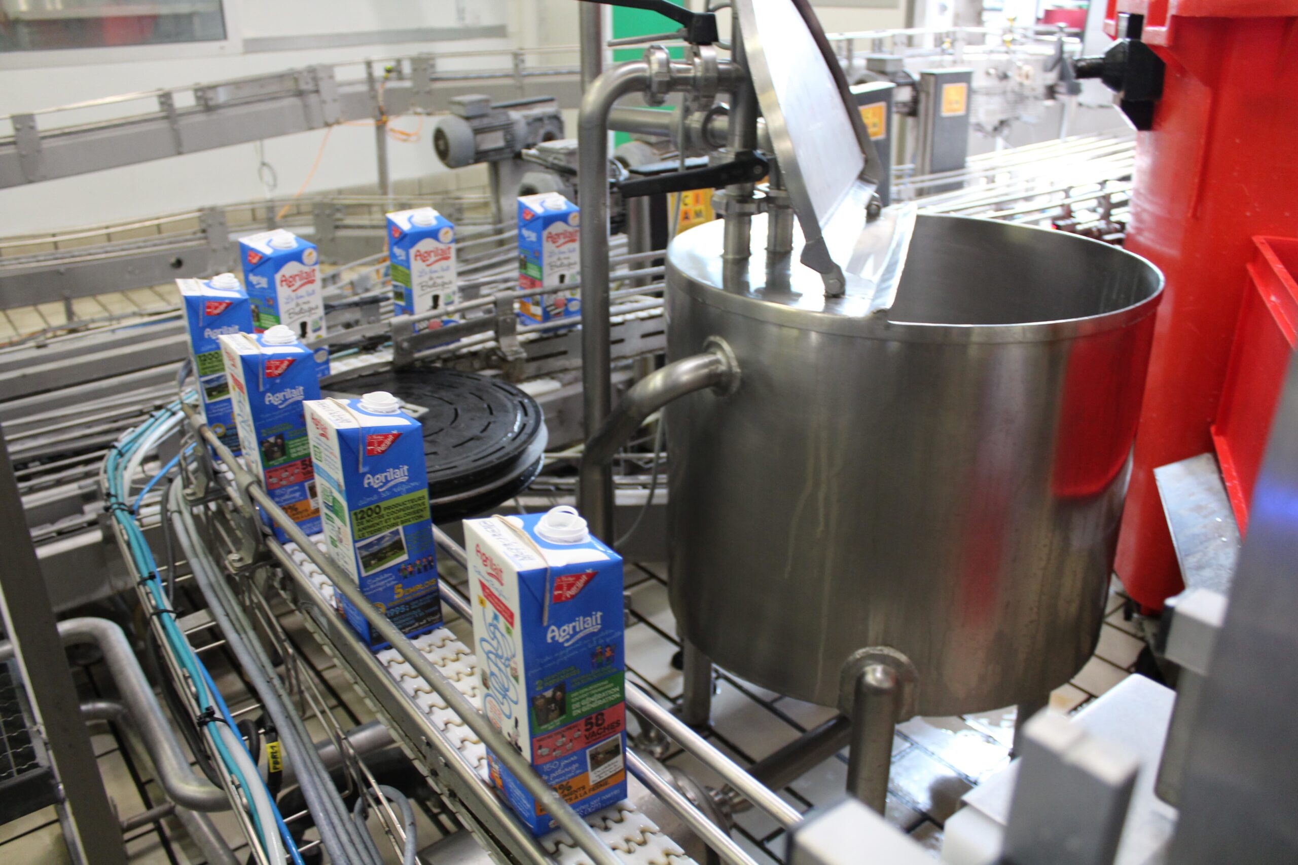 LoopDeetect Salmonella - Loop Dee Science