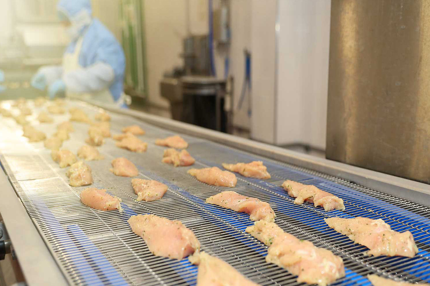 LoopDeetect Salmonella - Loop Dee Science